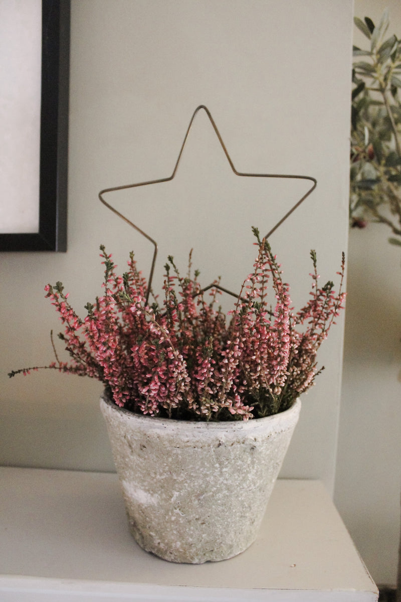 Star Spike – Grey Star Interiors